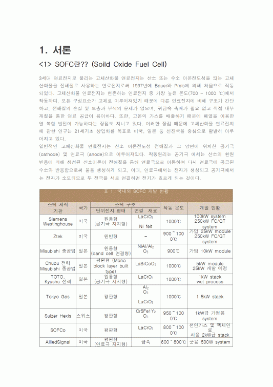 SOFC 전해질 제조 실험