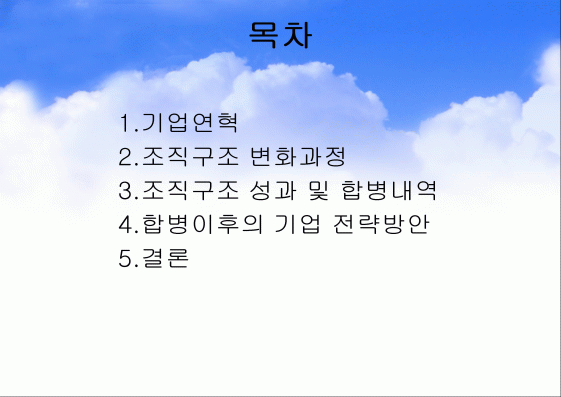 국민은행 경영전략-구조조정과 합병이후 사업화 전략