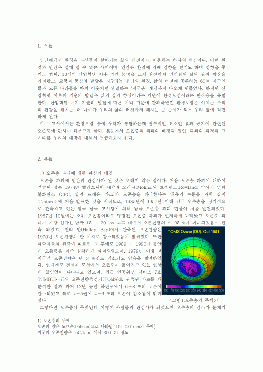 오존층 파괴에 관한 레포트