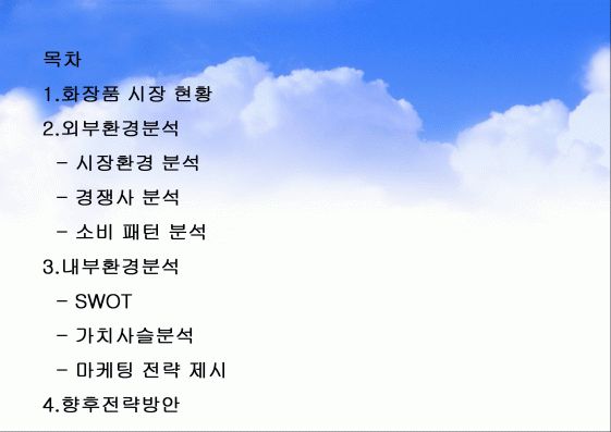 화장품 시장 마케팅- 엘지생활건강