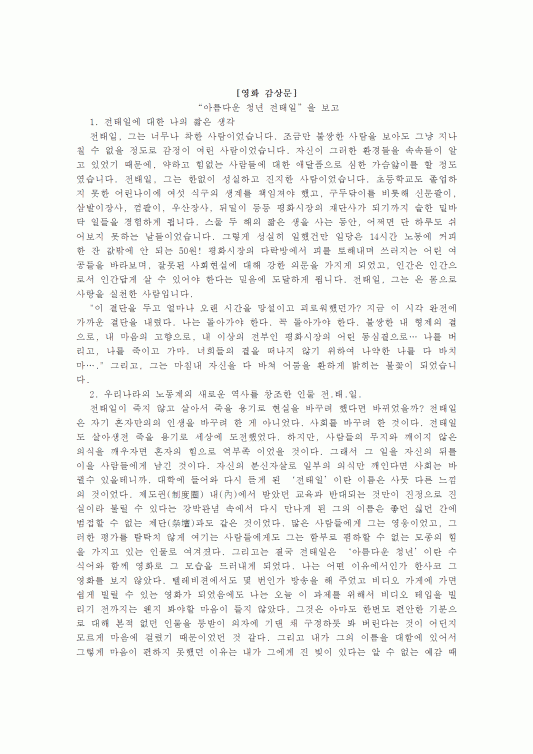 [영화감상문] 아름다운 청년 전태일을 보고