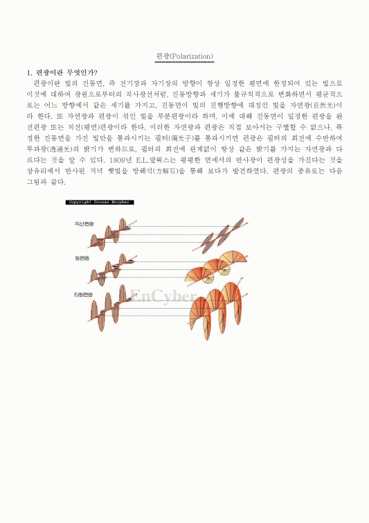편광(Polarization)