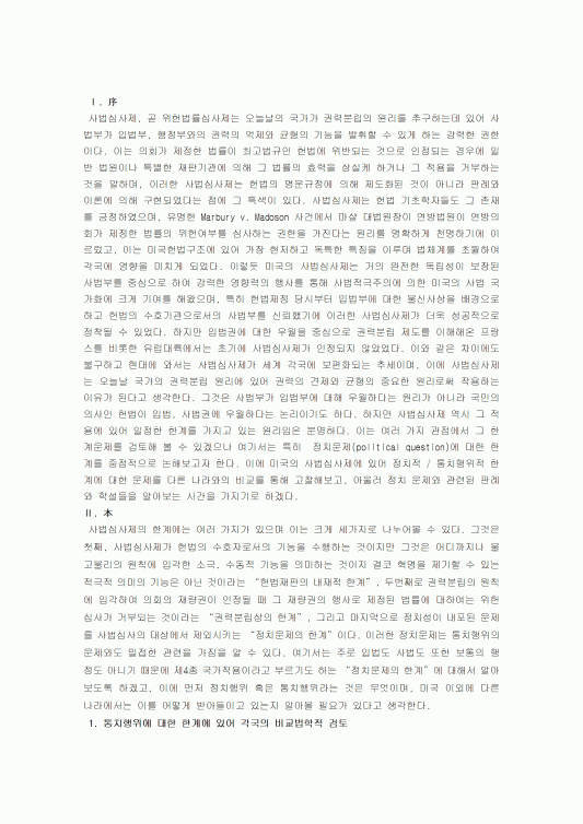 미국사법심사제의한계