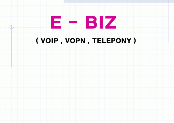 E - BIZ ( VOIP , VOPN , TELEPONY )