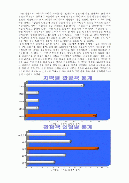 천마총 레포트 자료