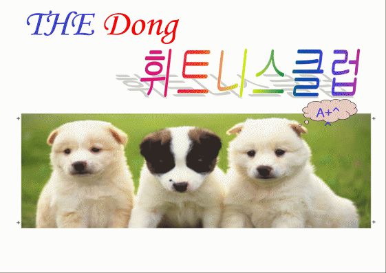 애견휘트니스클럽사업계획서