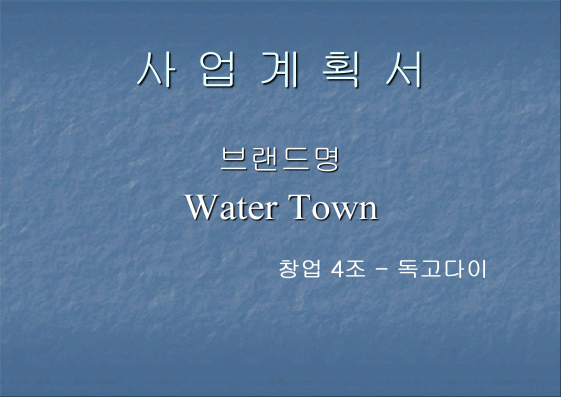 사업계획서- 온천 창업사업계획서(브랜드명 : Water Town )