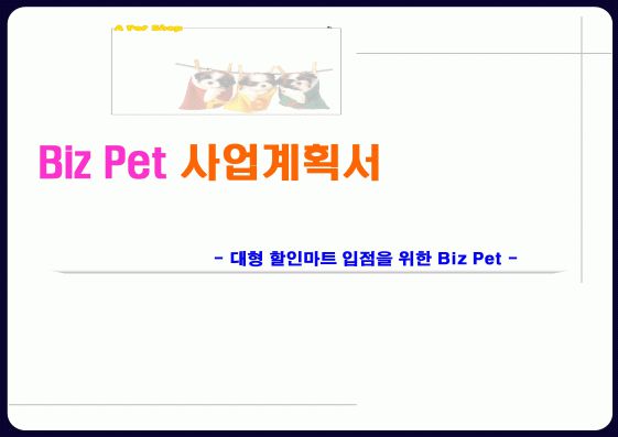 애견용품 Biz Pet 사업계획서