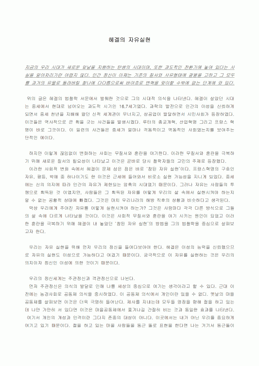 헤겔 법철학에 입각한 자유실현