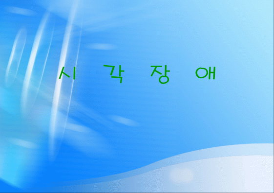 시각장애PPT 레포트 자료