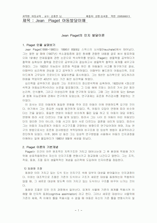 피아제 인지발달능력