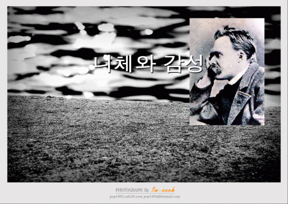 니체와 감성 ( 발표용 자료 )