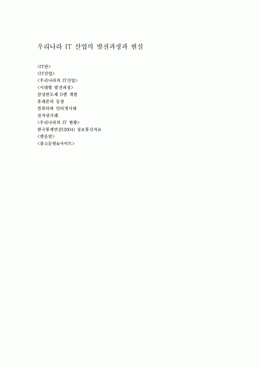 우리나라 IT산업의 발전과정과 현실