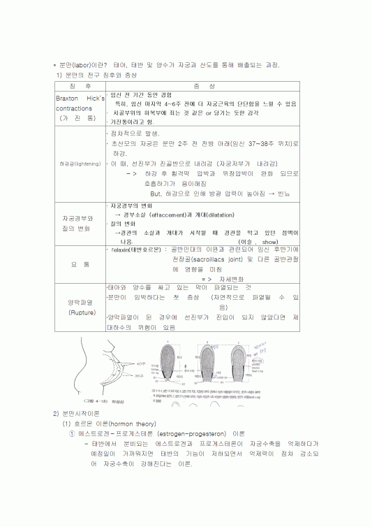 분만 과정 레포트 자료