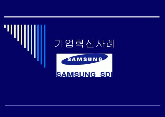 기업혁신사례 삼성 SDI