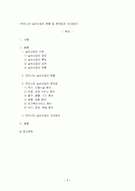 우리나라 실버산업의 현황 및 문제점과 개선방안