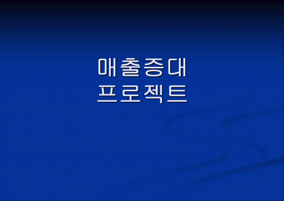 사업계획서 - 매출증대 프로젝트