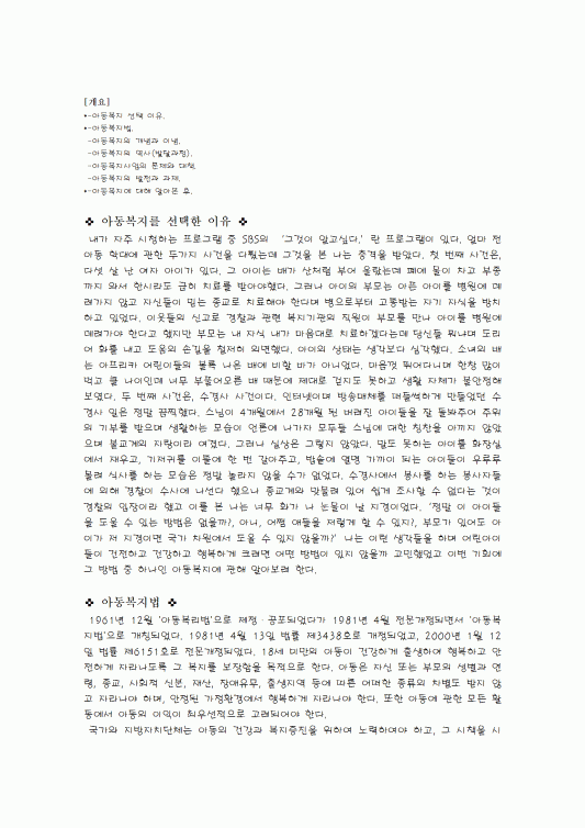 아동복지에 대한 조사