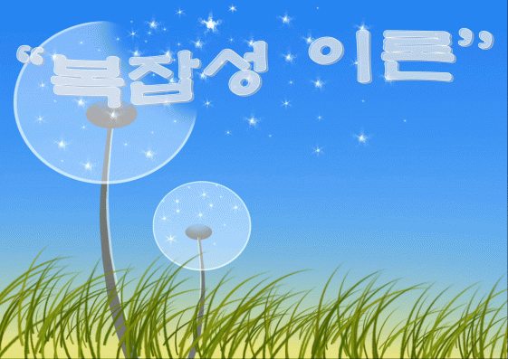 복잡성이론 레포트 자료