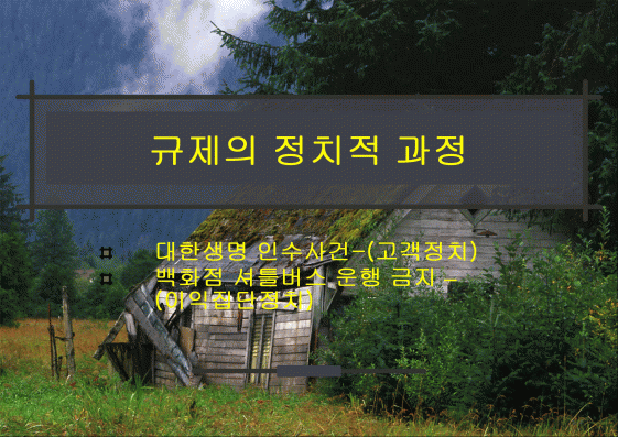 규제의 정치적 과정