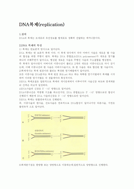 복제 전사 레포트 자료