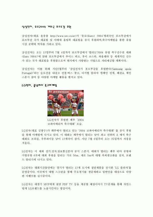 스포츠 마케팅 성공전략 분석 - 삼성전자, 엘지전자, 피파, 마사회 등의 마케팅 전략 분석