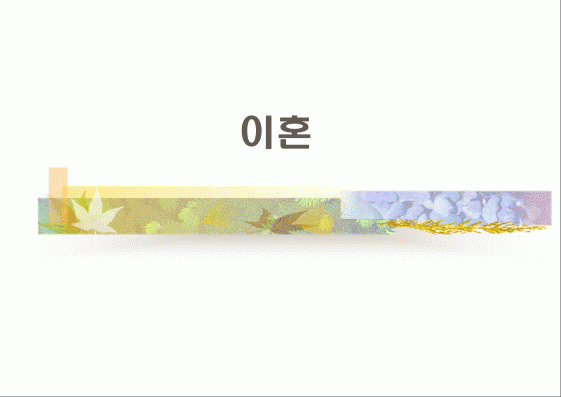 이혼에 대한 정리