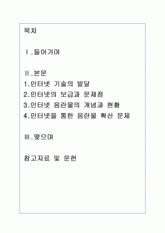 인터넷 문화의 확산과 음란물 문제