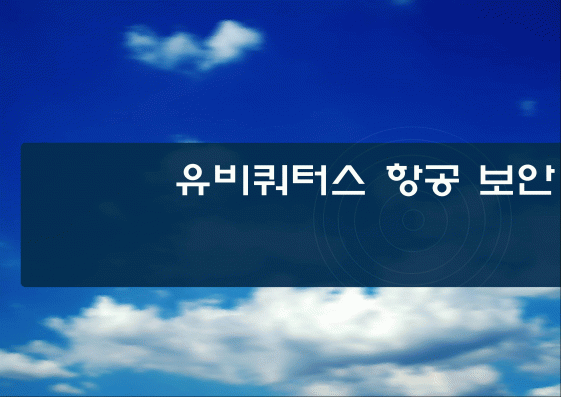 [자연과학] 유비쿼터스 항공 보안