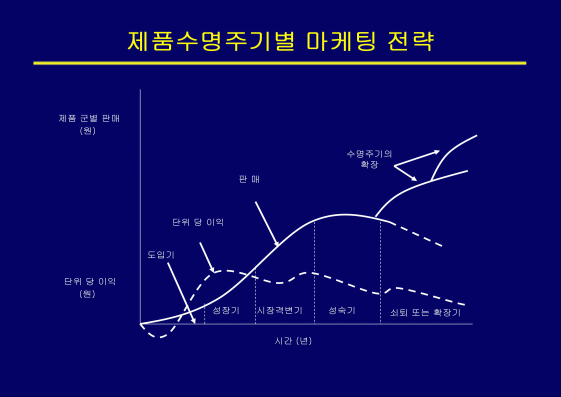 제품수명주기별 마케팅 전략