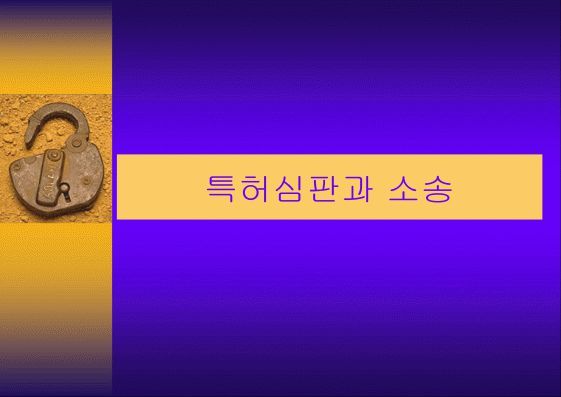 [법학] 특허심판과 소송