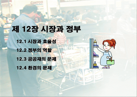 시장과 정부 레포트 자료