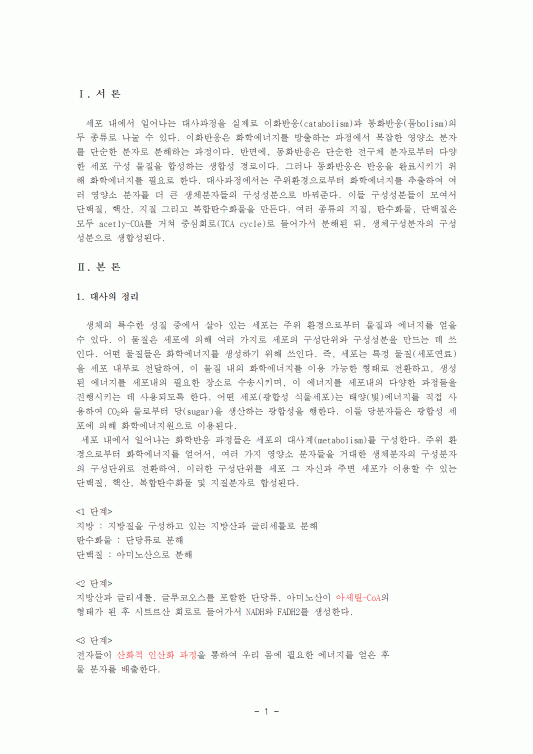 우리 몸속에 일어나는 생화학 반응