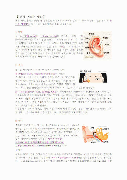 눈, 귀, 피부의 구조와 기능