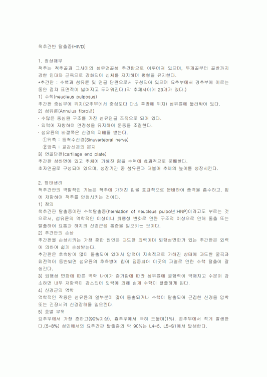 척추추간판탈출증 캐이스