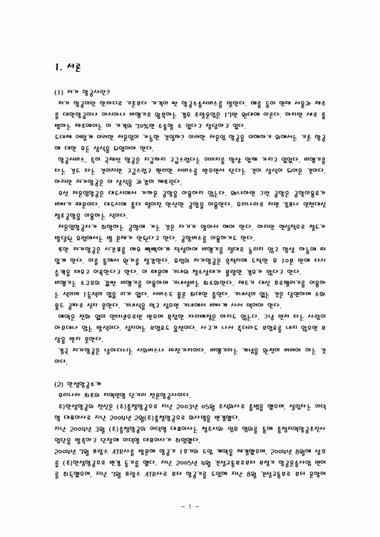 한성항공사의 전략경영