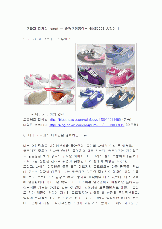 나이키코르테즈와리바이스바지의역사와디자인의특징
