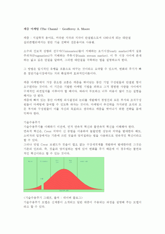 캐즘마케팅에 관하여