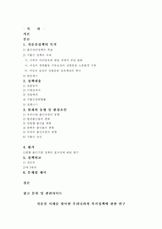 저출산정책 레포트 자료