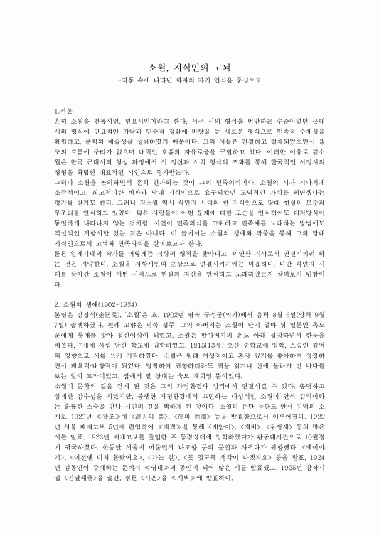 김소월 작가,작품론