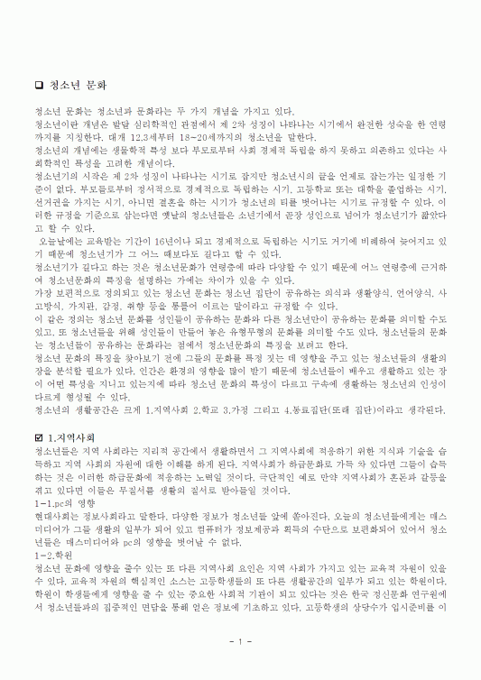 청소년 문화의 성격과 특징