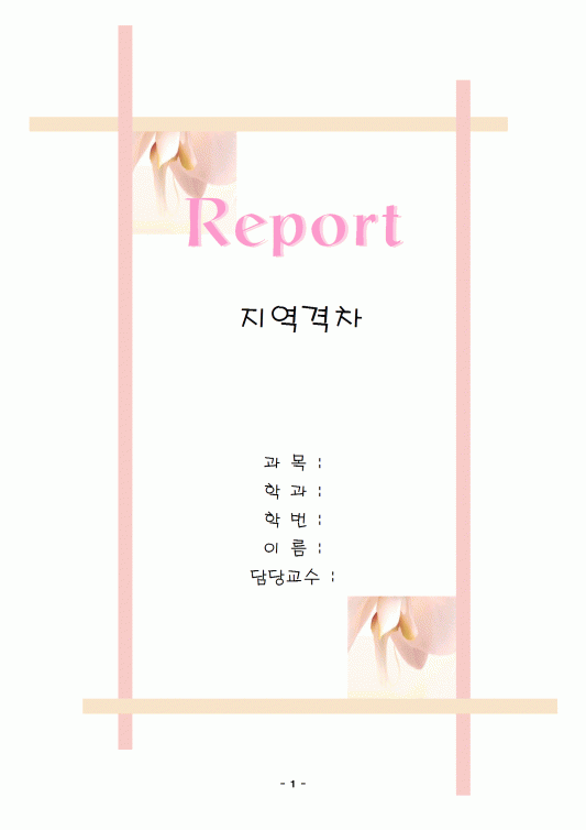 지역격차 레포트 자료