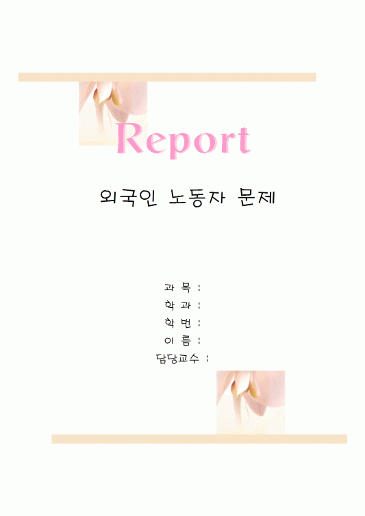 외국인 노동자 문제 외국인 노동자의 현황