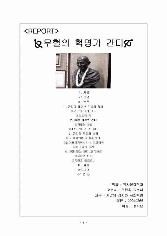 무혈의 혁명가 간디