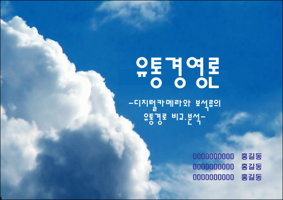 [유통관리]유통경영-카메라와 보석류의 유통경로 분석