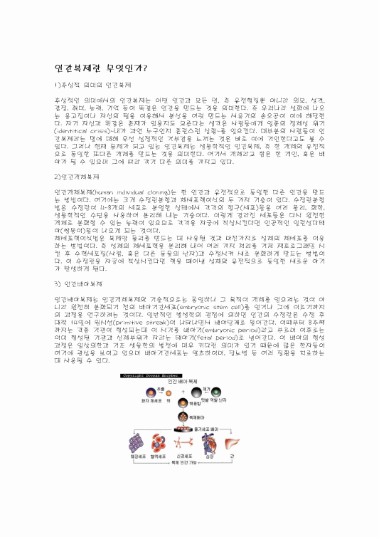 인간복제에관한 레포트
