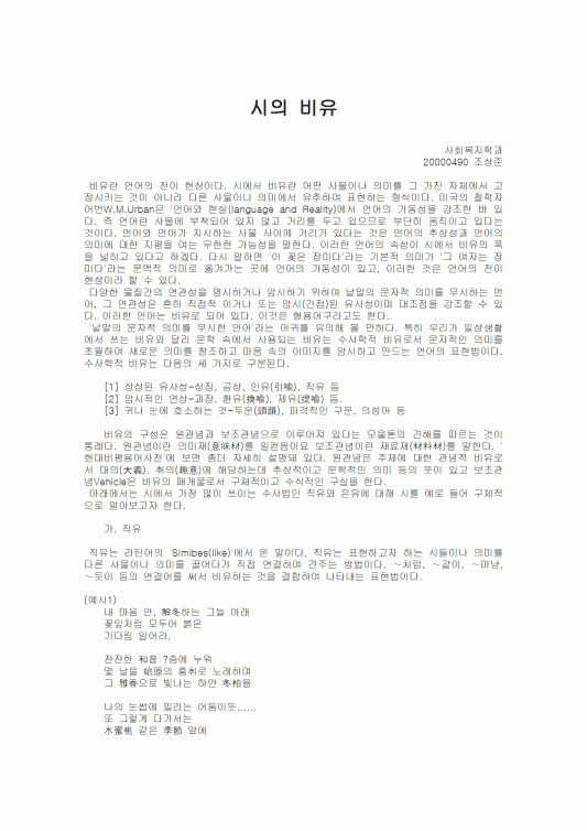 시의 비유 레포트 자료