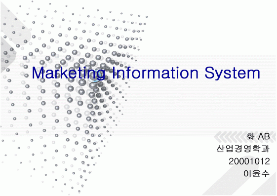 마케팅정보시스템