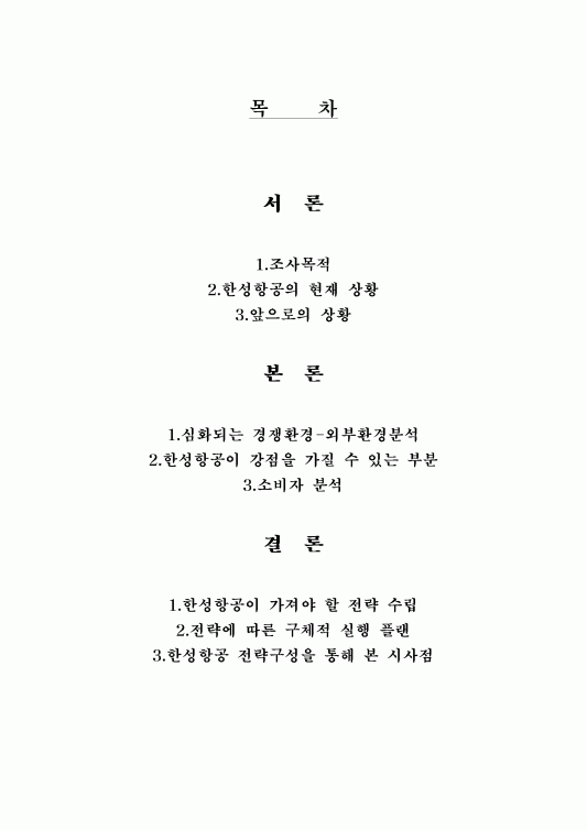 한성항공 마케팅 전략 기획서