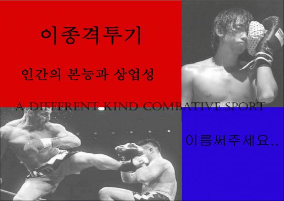 이종격투기 인간본능과 상업성 폭력성